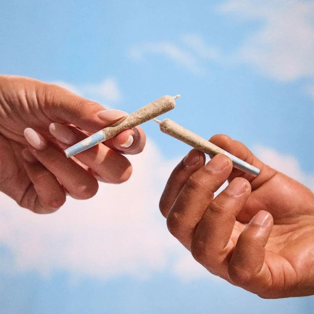 Tobacco Wrap Quality Process | Blog - Zig-Zag Wraps