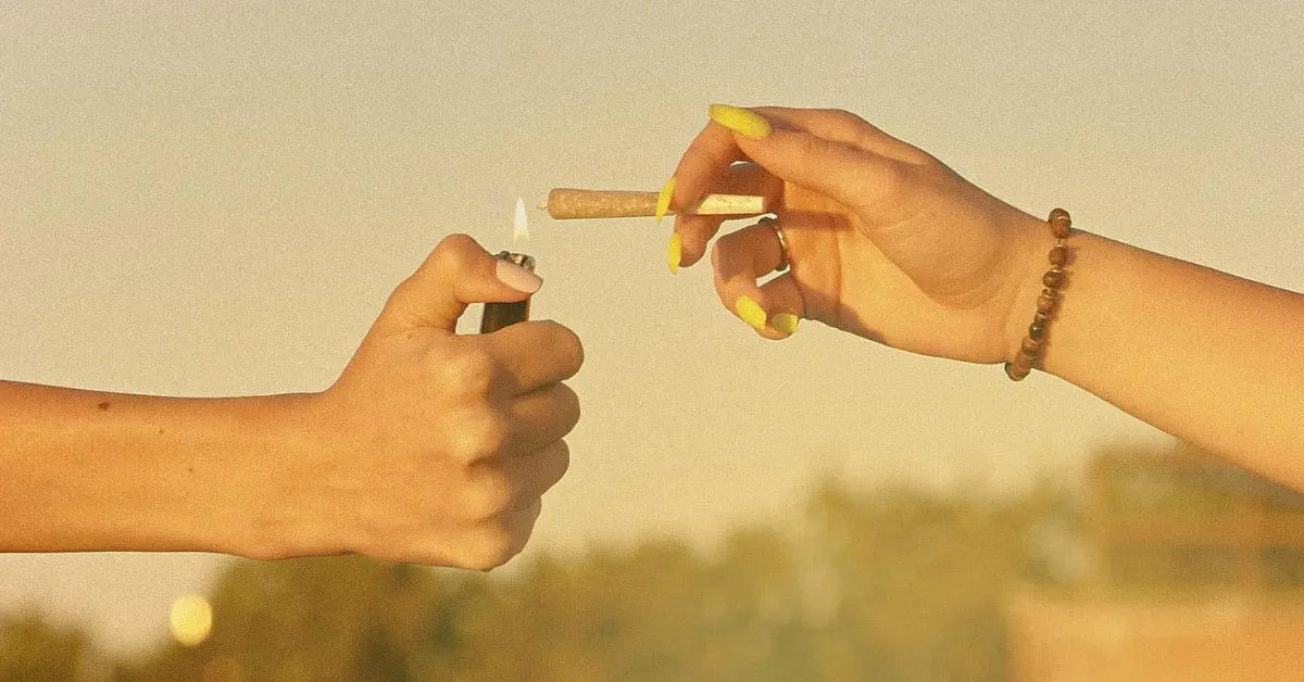 Fresh vs. Aged vs. Flavored Tobacco Wraps | Zig-Zag – Zig-Zag Wraps